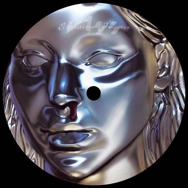 VTSS Identity Process 12" - Sklep internetowy Winylownia.pl